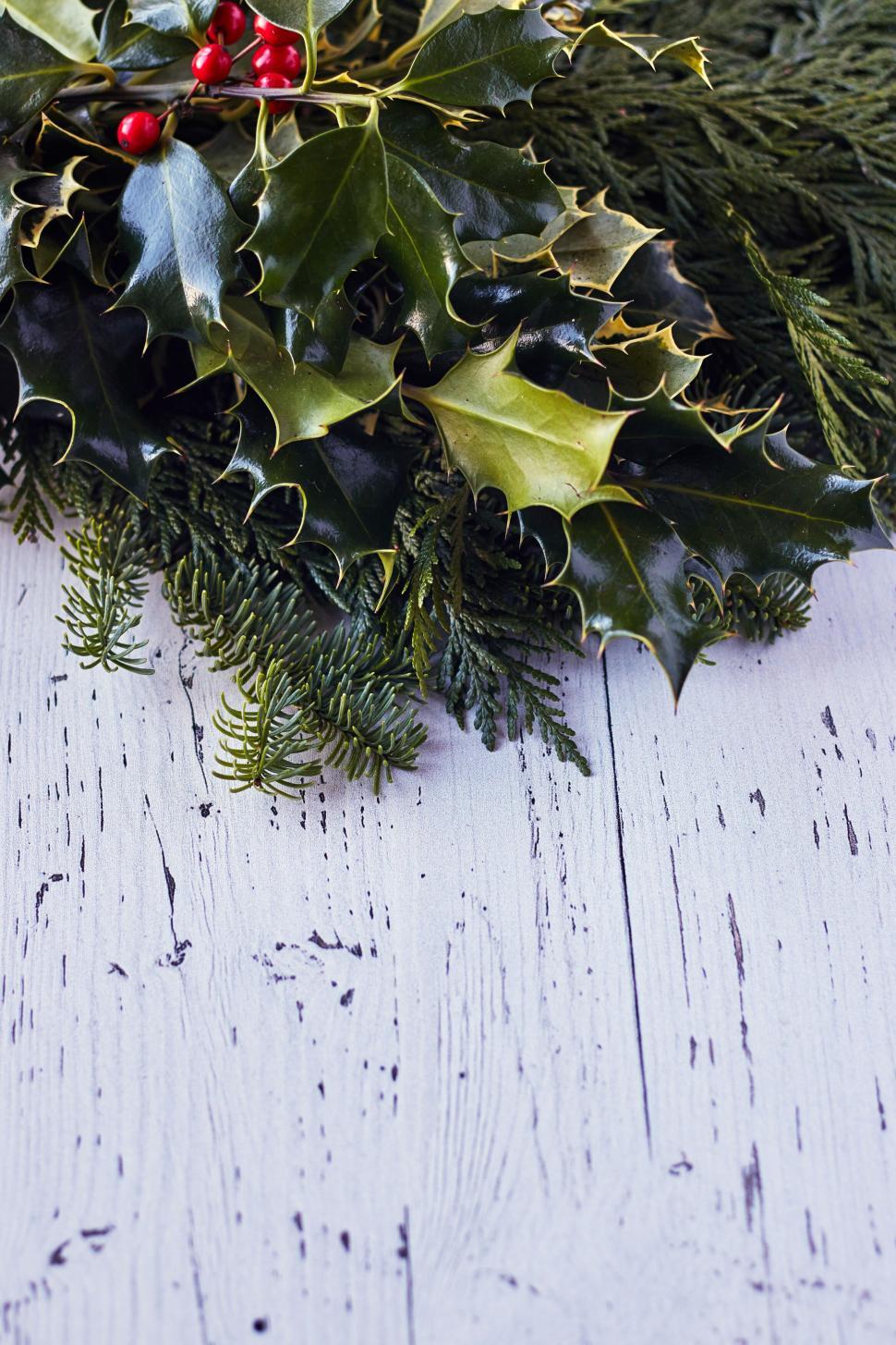 Free Stock Photo of Holly leaves and berries on rustic wooden ...