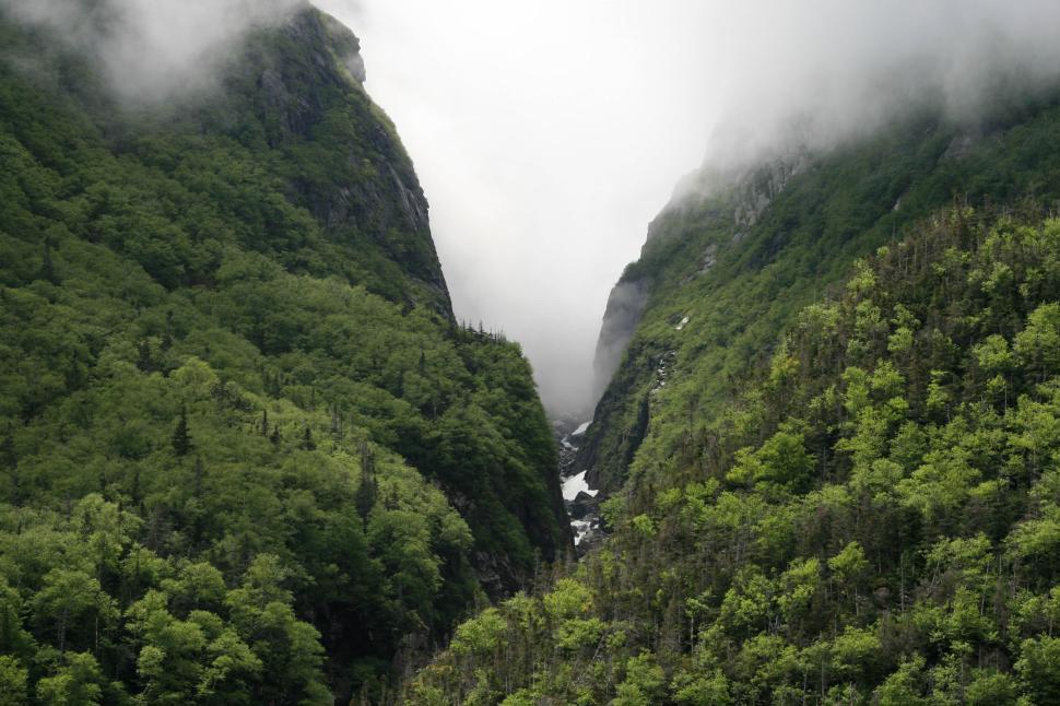 Free Stock Photo of Mountain valley with dense forest and misty ...