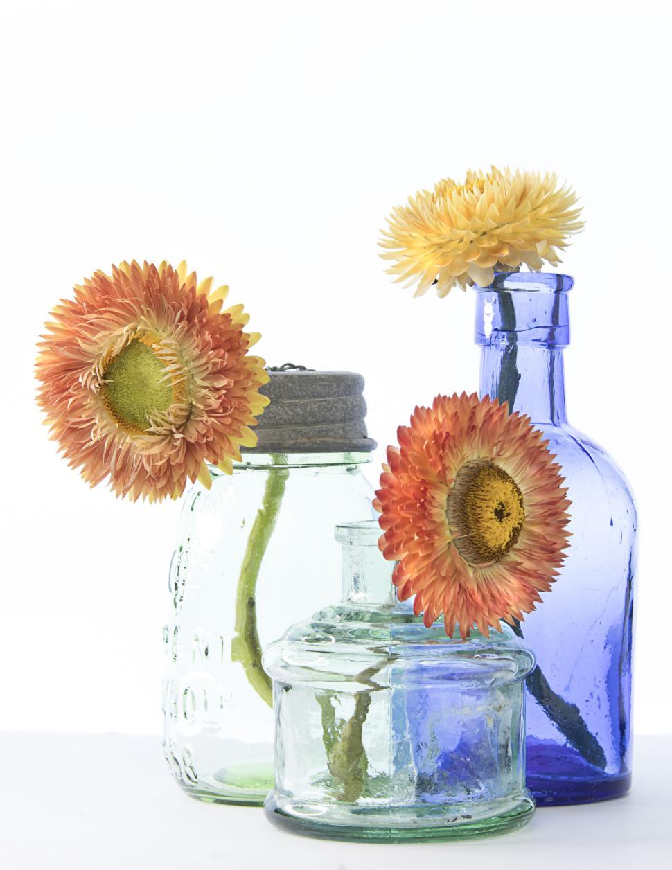 Free Stock Photo of Three colorful flowers in vintage bottles ...