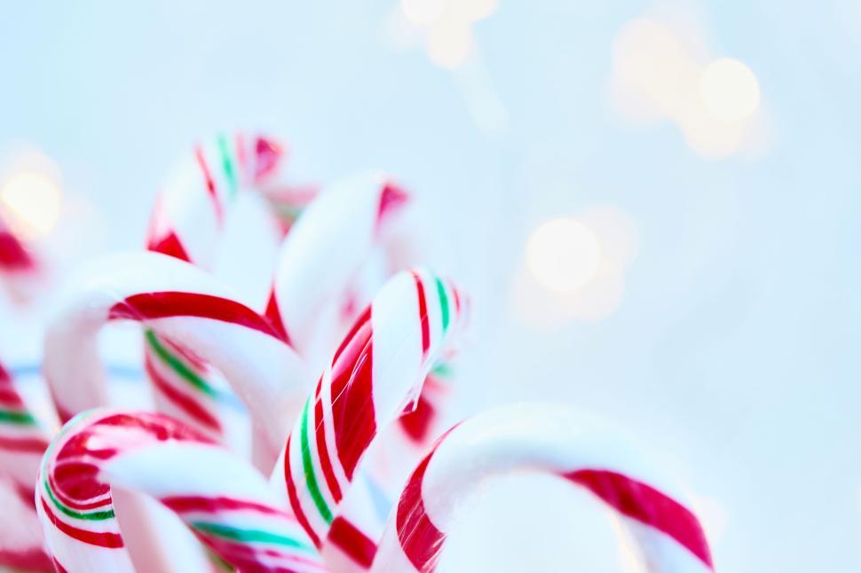 Free Stock Photo of Close up of candy canes on a light blue background ...