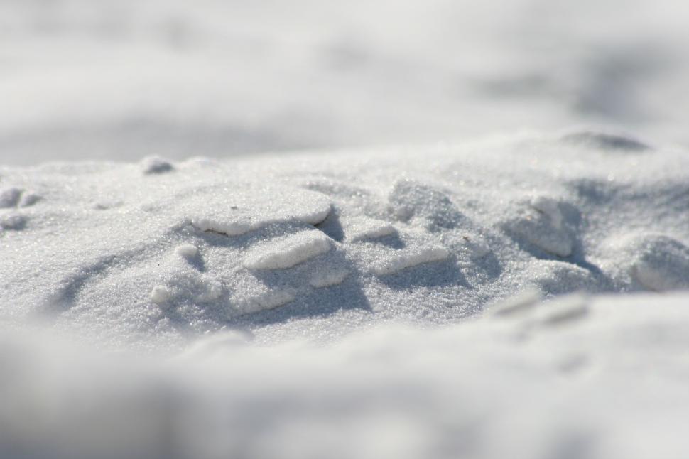 Free Stock Photo of Close view of snow on ground showing detailed ...