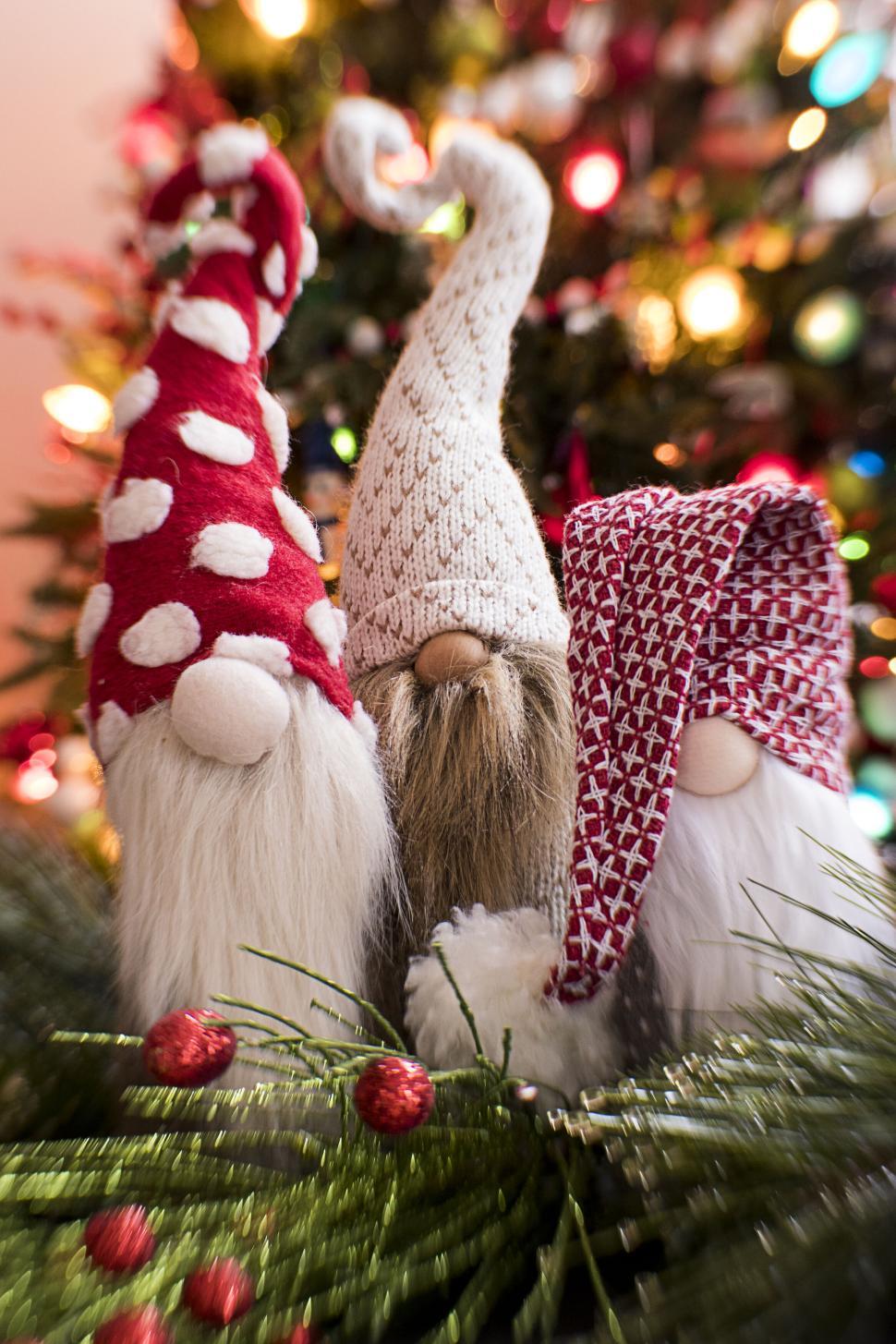 Free Stock Photo of Three whimsical holiday gnomes with festive ...