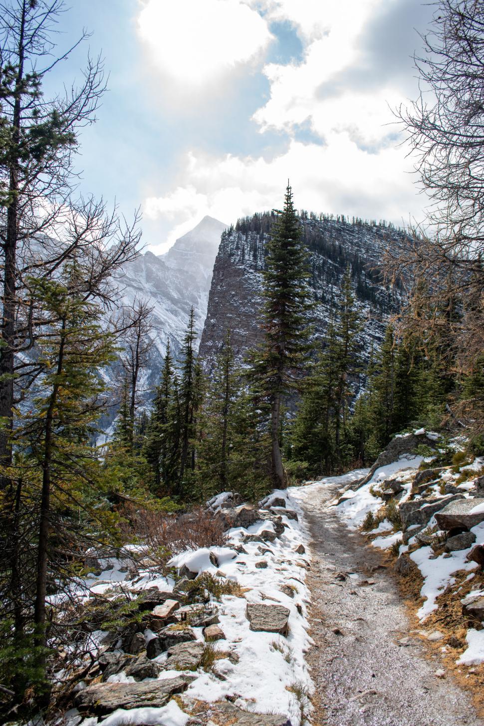 Free Stock Photo of Snowy path in mountain forest with towering cliffs ...