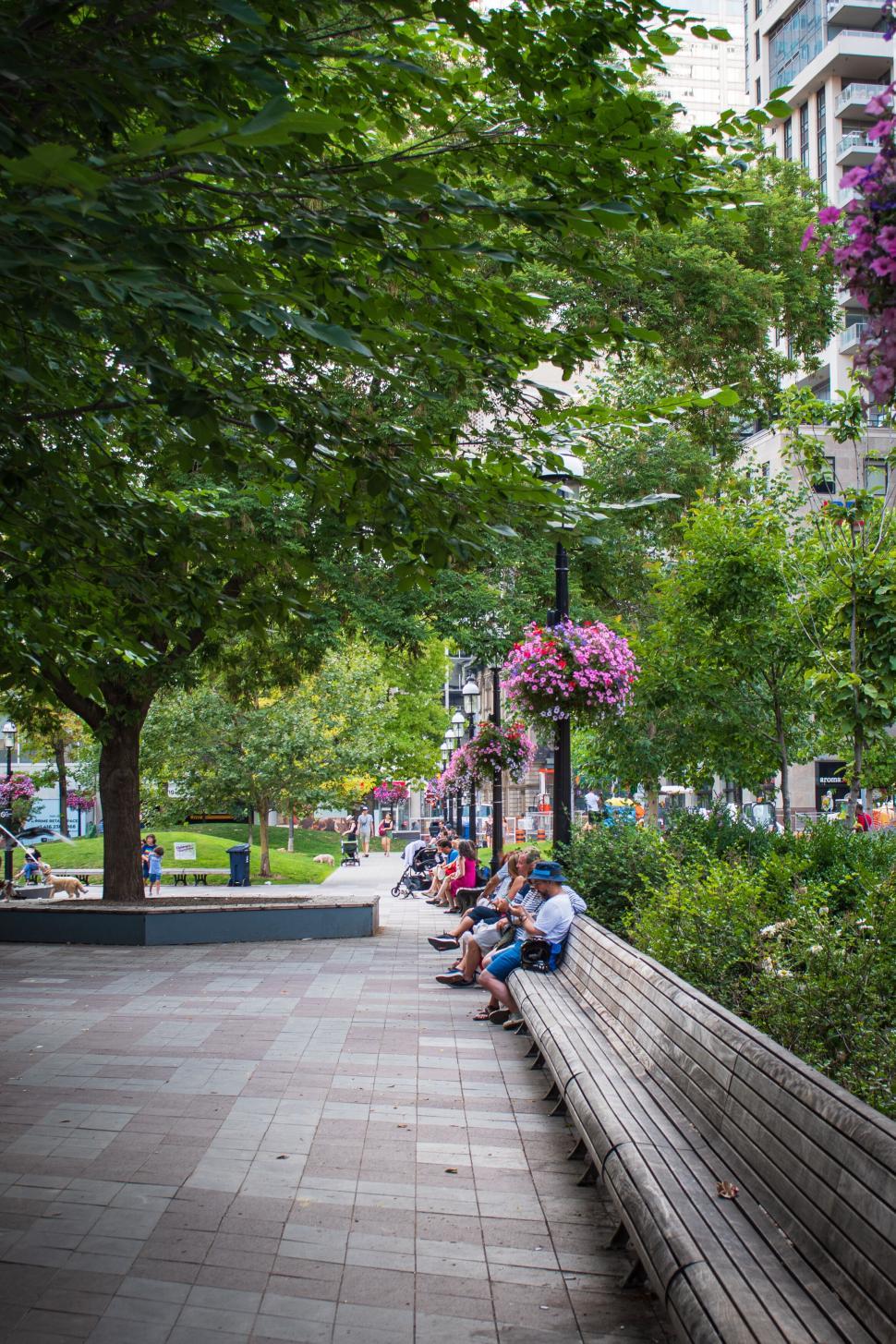Free Stock Photo of Urban park bench seating area with blooming flowers ...