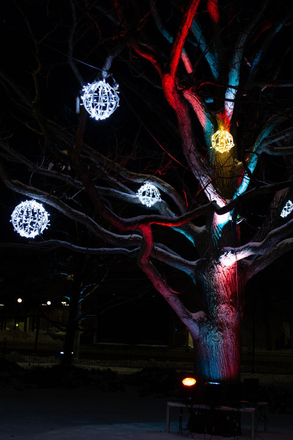 Free Stock Photo of Night tree with illuminated hanging ornaments ...