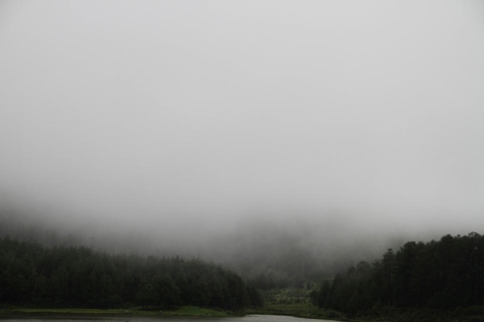 Free Stock Photo of Dense fog over a forested landscape | Download Free ...