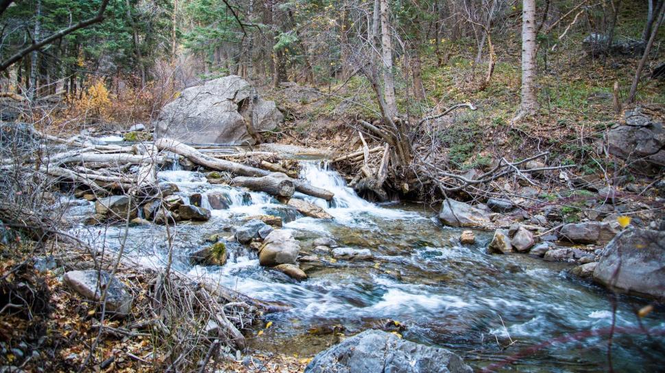 Free Stock Photo of Rushing stream in forest with vibrant autumn ...
