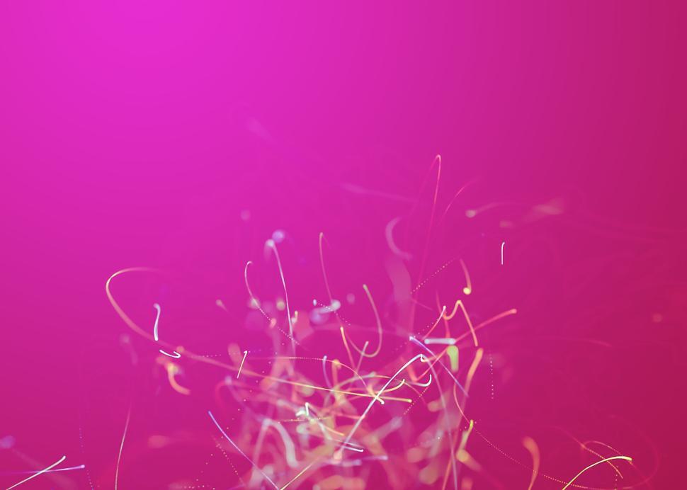 Free Stock Photo of Pink background with abstract colorful light trails ...