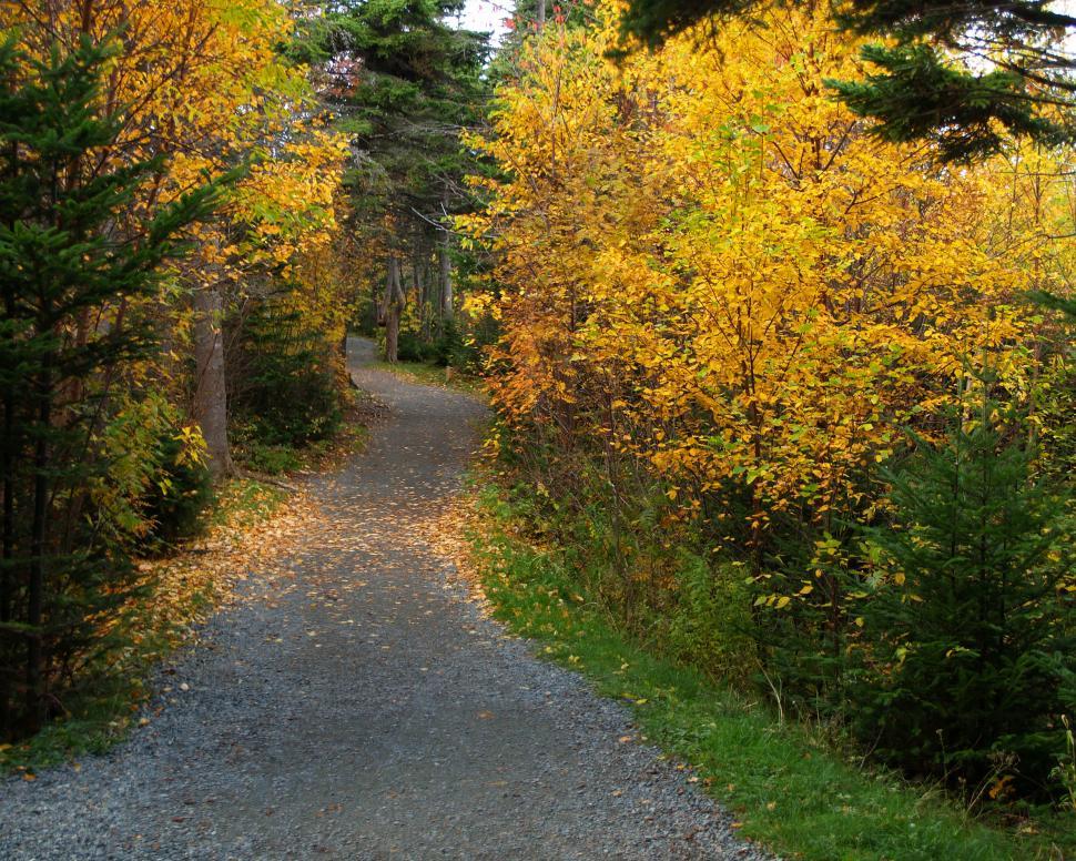 Free Stock Photo of Walking Trail | Download Free Images and Free ...
