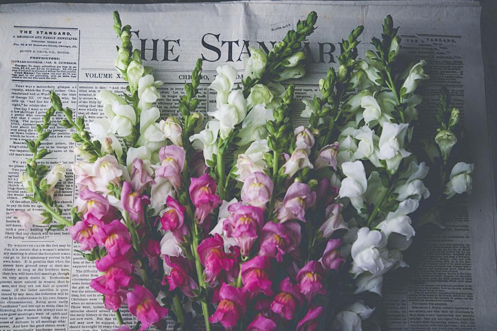 Free Stock Photo of Bouquet of colorful flowers on vintage newspaper ...