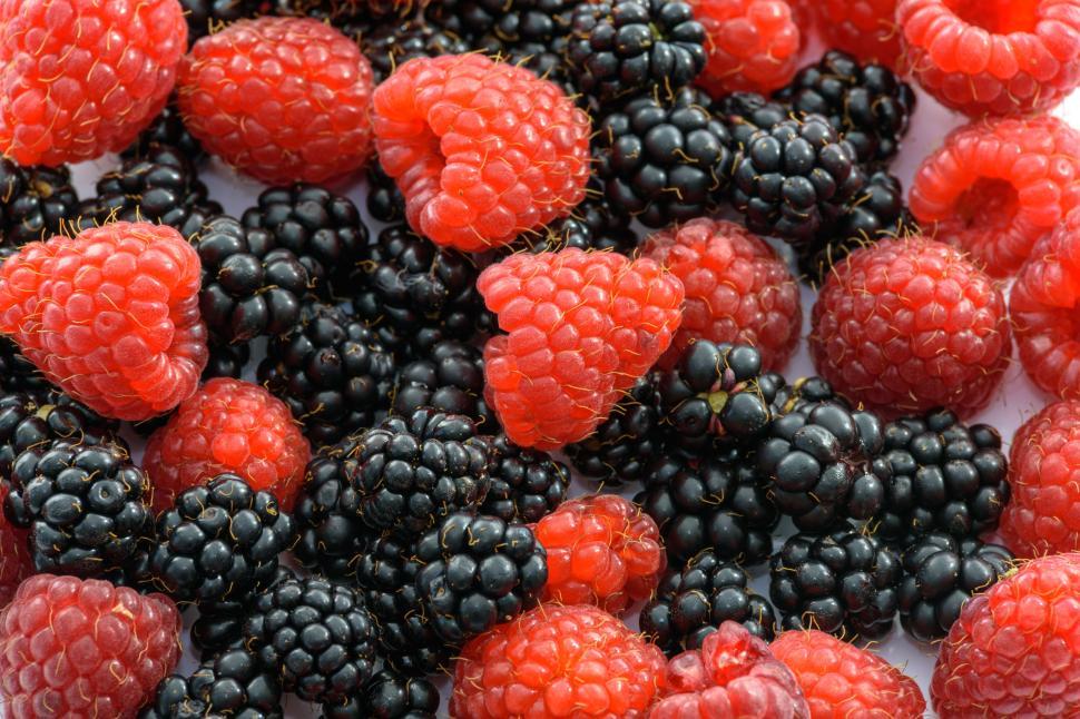 Free Stock Photo of Mixed raspberries and blackberries in a vibrant ...