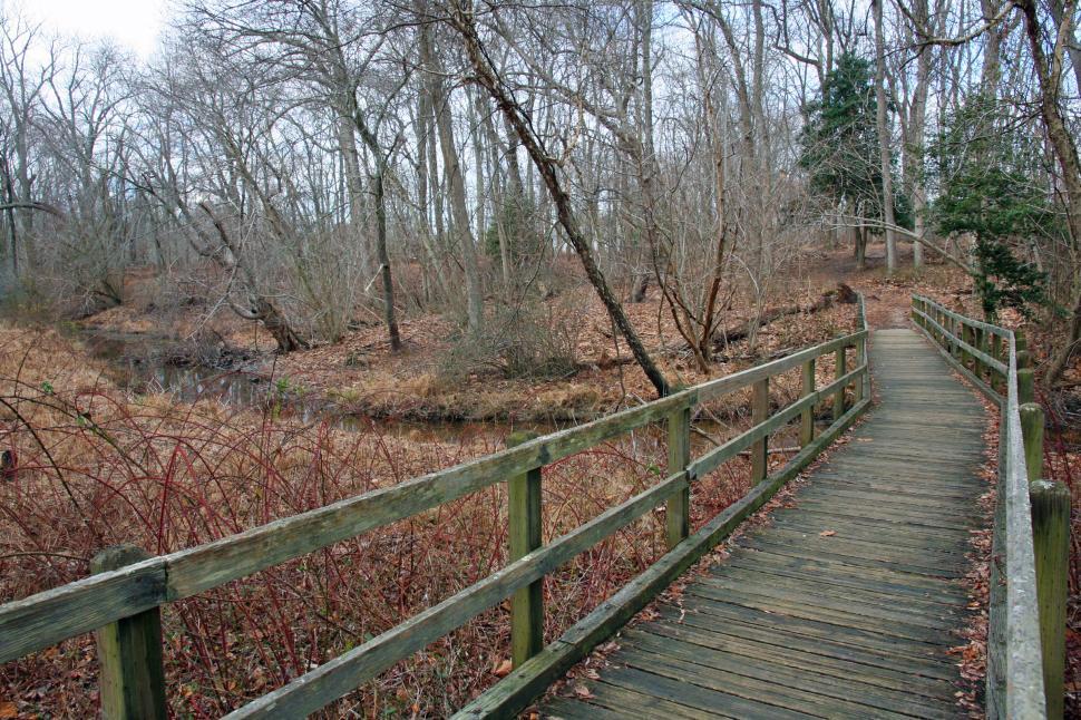 Free Stock Photo of Wooden Boardwalk Over Stream | Download Free Images ...