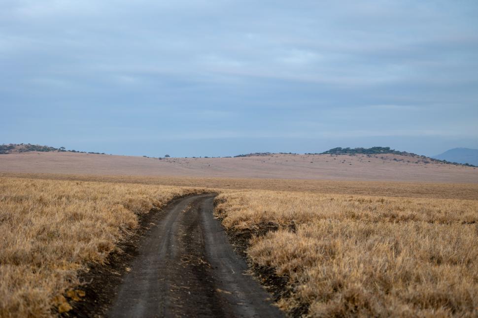 Free Stock Photo of Dirt road fading into the horizon in a dry savannah ...