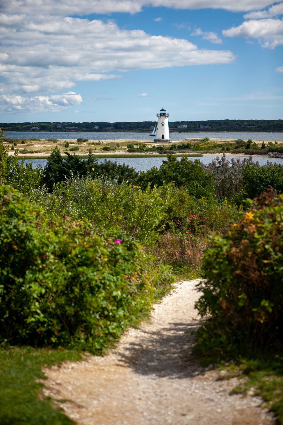 Free Stock Photo of Pathway leading to lighthouse with greenery around ...