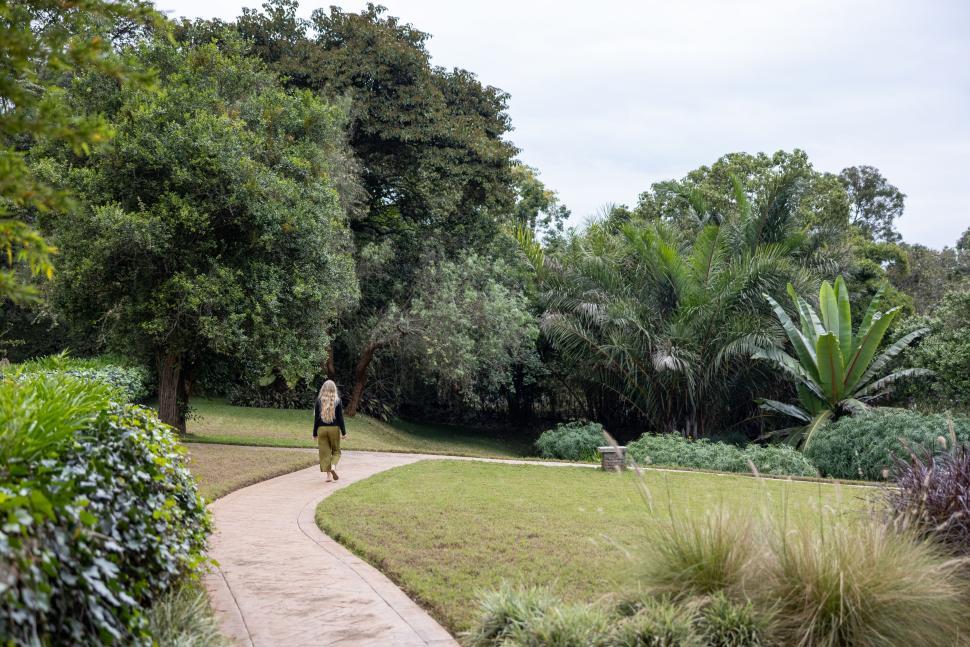 Free Stock Photo of Person walking alone on a park path under cloudy ...