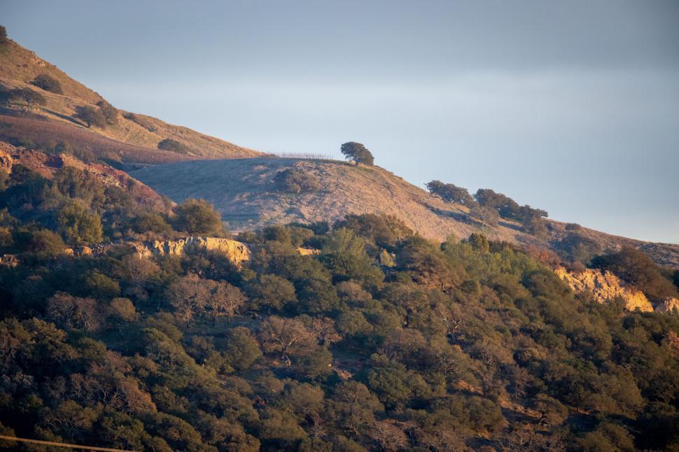Free Stock Photo of Hilly landscape with trees and distant mountain in ...