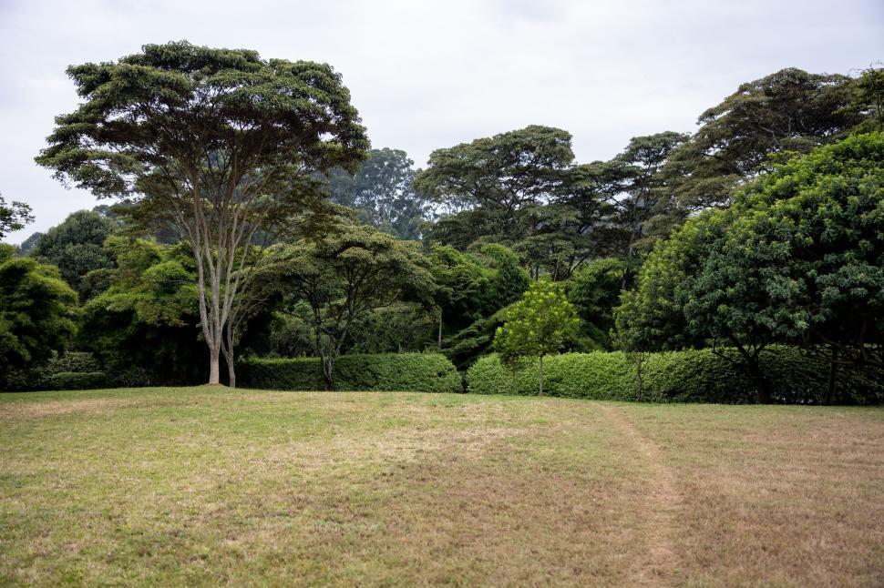 Free Stock Photo of Wide open field with trees in the background ...