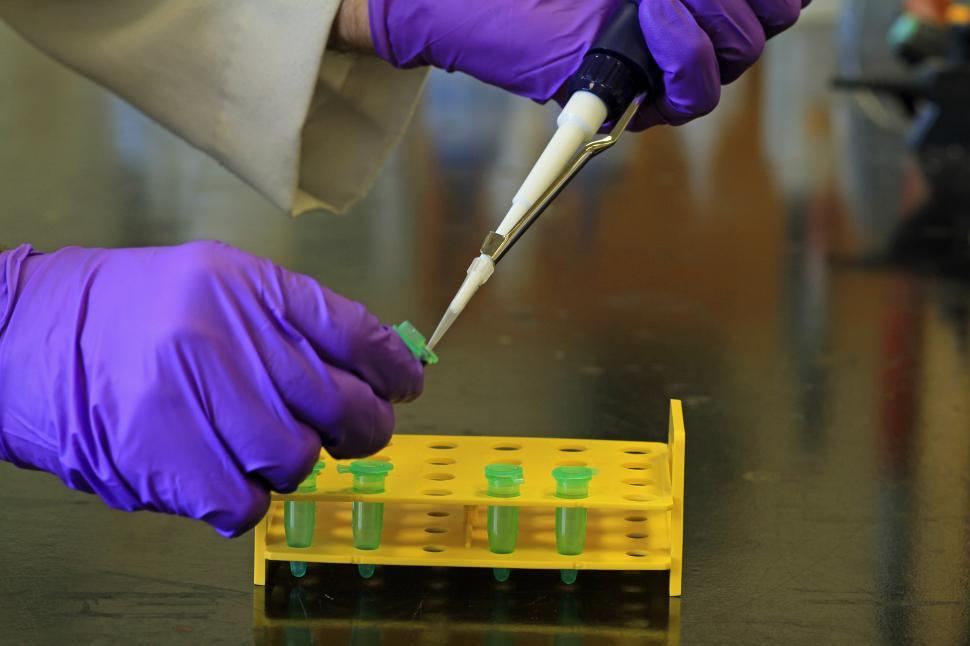 Free Stock Photo of Sample Transfer | Download Free Images and Free ...