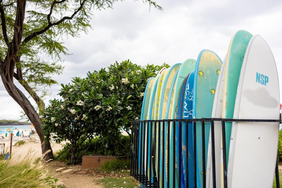 Free Stock Photo of Row of surfboards on beach in tropical setting ...