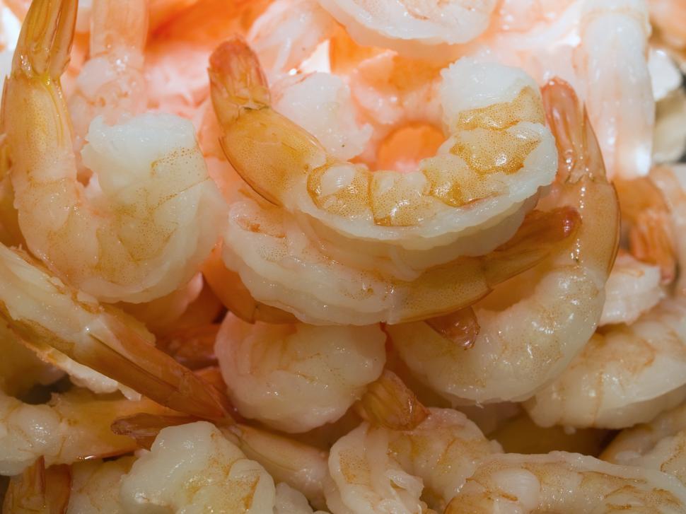 Free Stock Photo of Shrimp | Download Free Images and Free Illustrations