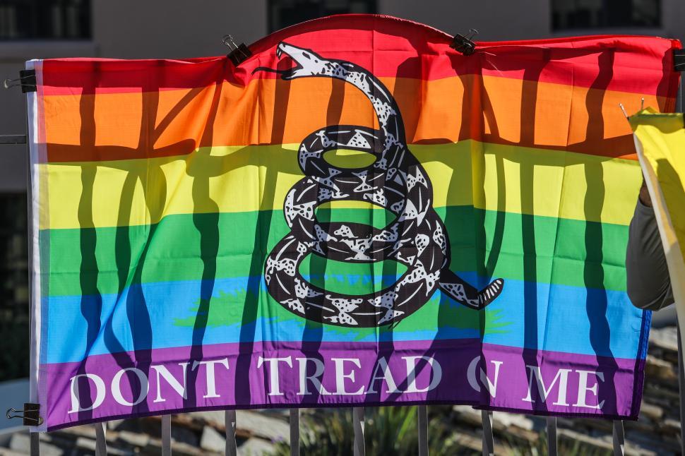 Free Stock Photo of Protest flag combining Gadsden and rainbow symbols ...