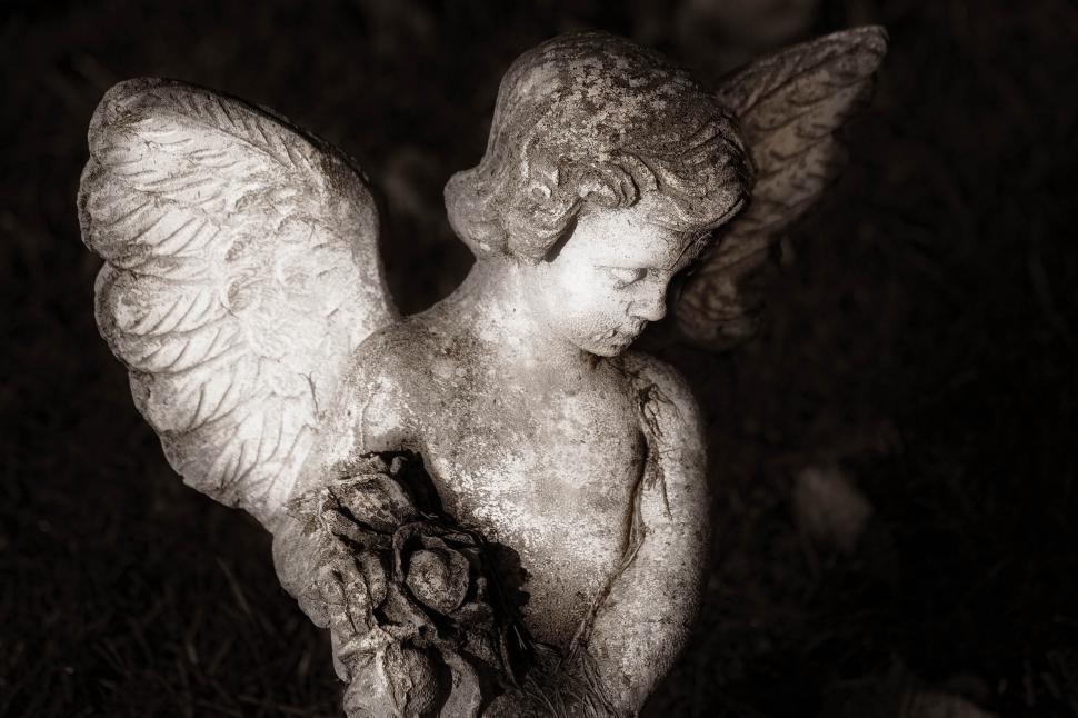 Free Stock Photo of angel | Download Free Images and Free Illustrations