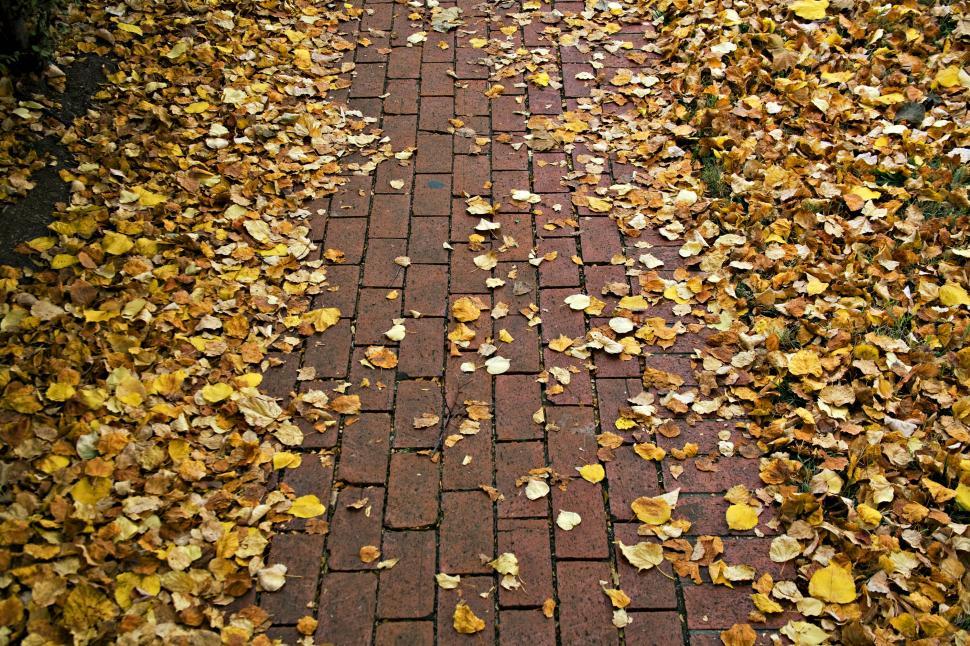 Free Stock Photo of Pathway | Download Free Images and Free Illustrations