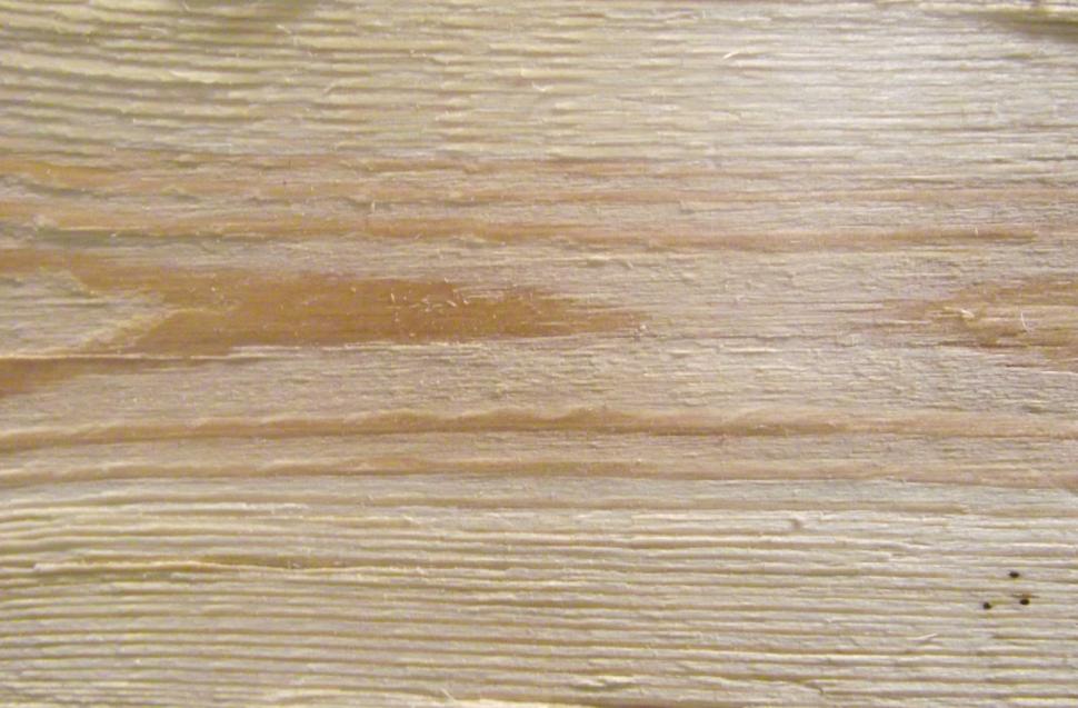 Free Stock Photo of Unsanded rough pine board close up | Download Free ...