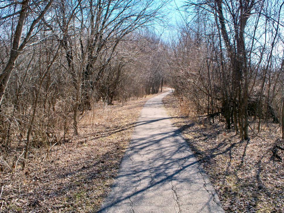 Free Stock Photo of asphalt walkway pathway through the woods ...