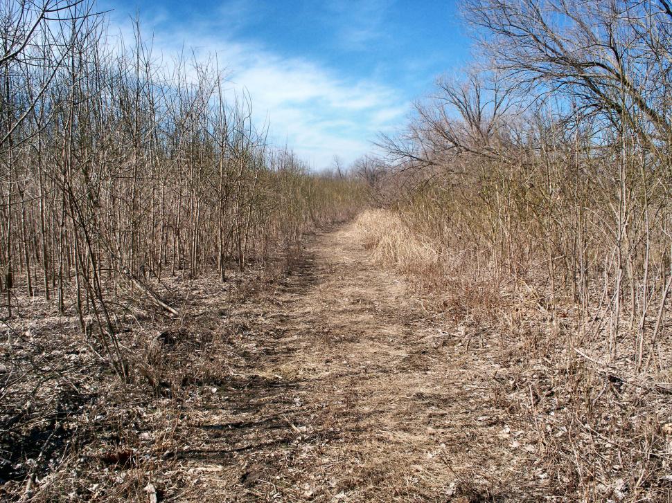Free Stock Photo of Dirt roadway pathway path road through the woods 2 ...