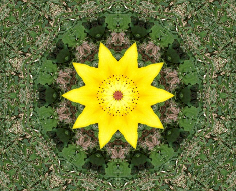 Free Stock Photo of Manipulated flower | Download Free Images and Free ...