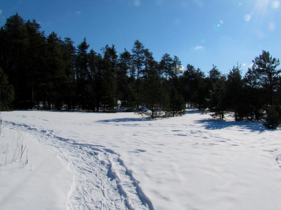 Free Stock Photo of Snowy Path | Download Free Images and Free ...