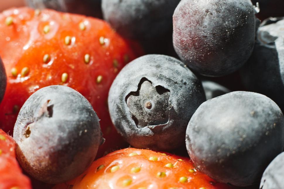 Free Stock Photo of Berries | Download Free Images and Free Illustrations