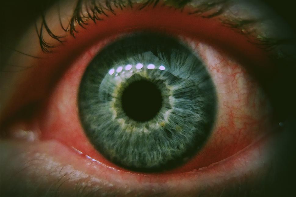 Free Stock Photo of Red Eye | Download Free Images and Free Illustrations