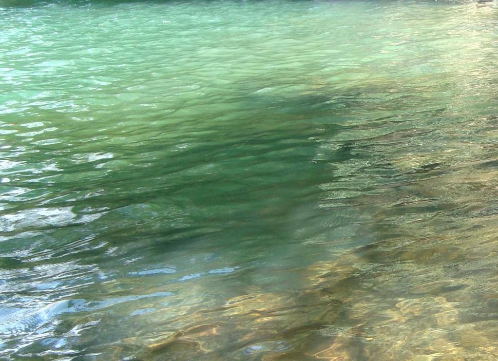 Free Stock Photo of Rock Pool Background | Download Free Images and ...