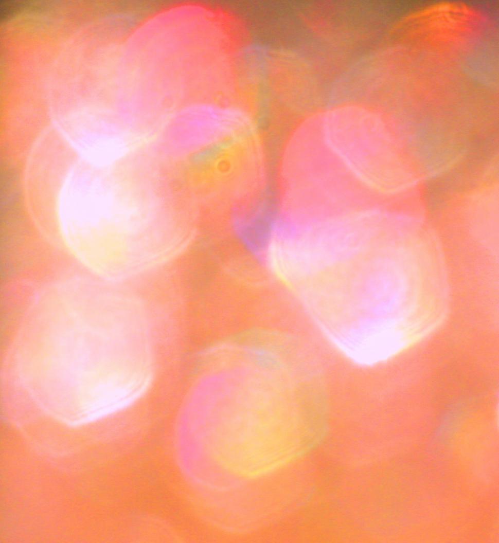 Free Stock Photo of Abstract Bokeh Light Background | Download Free ...
