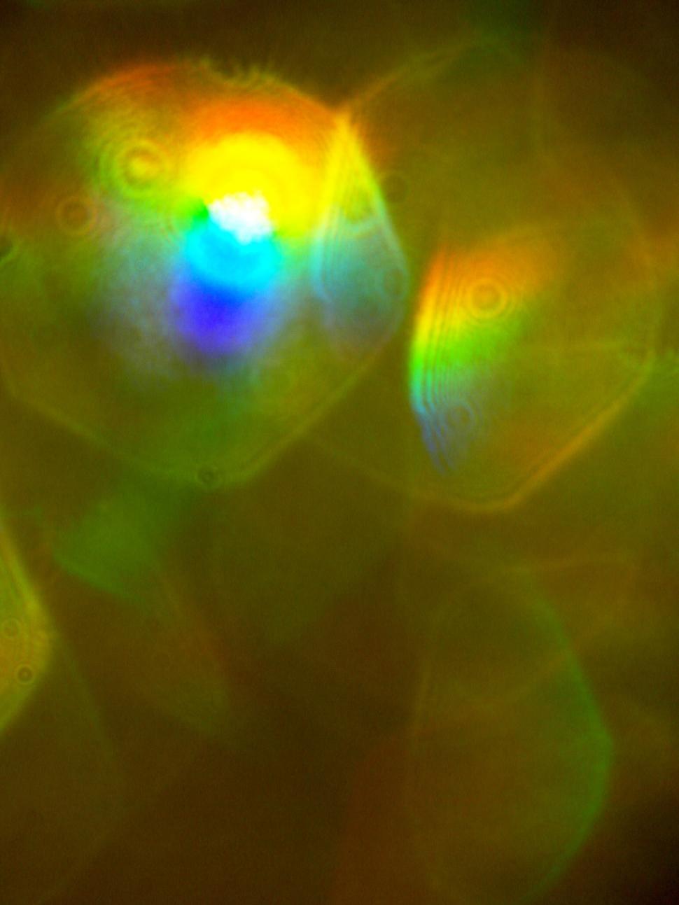 Free Stock Photo of Abstract Bokeh Lights | Download Free Images and ...