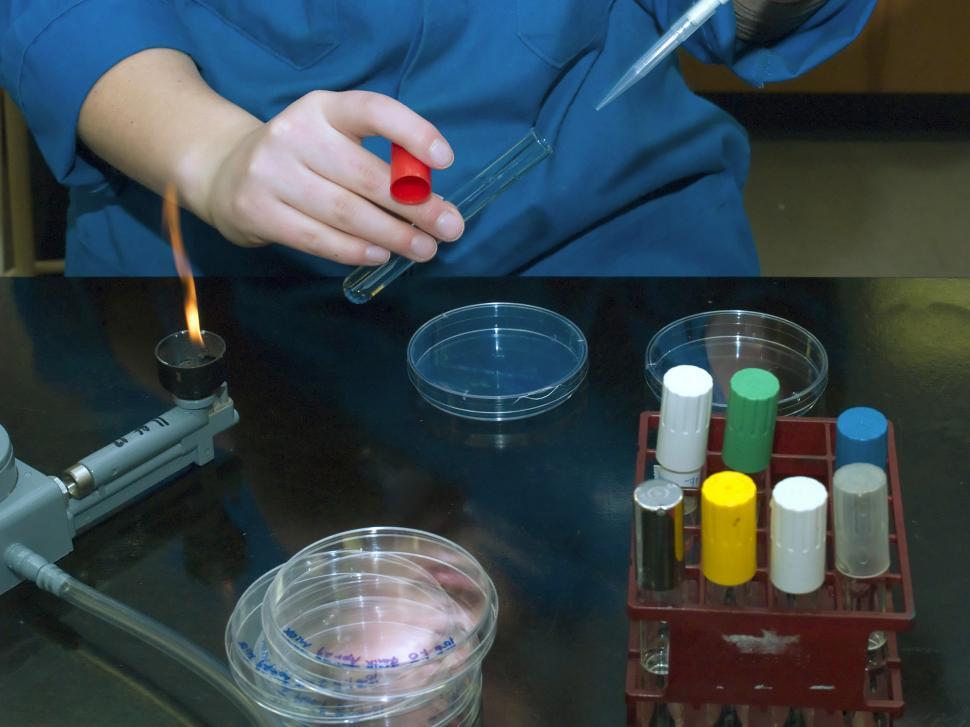 Free Stock Photo of Microbiology | Download Free Images and Free ...