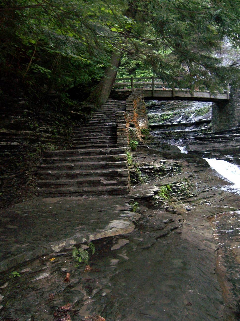 Free Stock Photo of Nature Walk | Download Free Images and Free ...