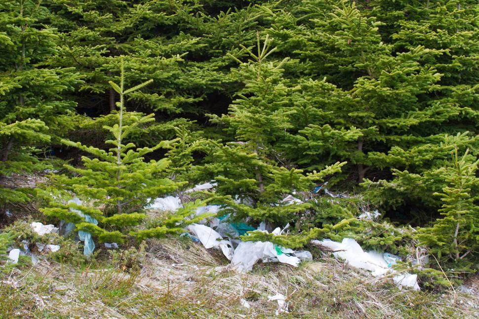 Free Stock Photo of Pollution - Litter | Download Free Images and Free ...