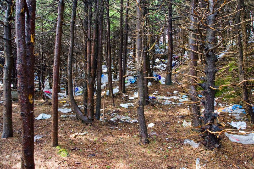 Free Stock Photo of Pollution - Litter | Download Free Images and Free ...