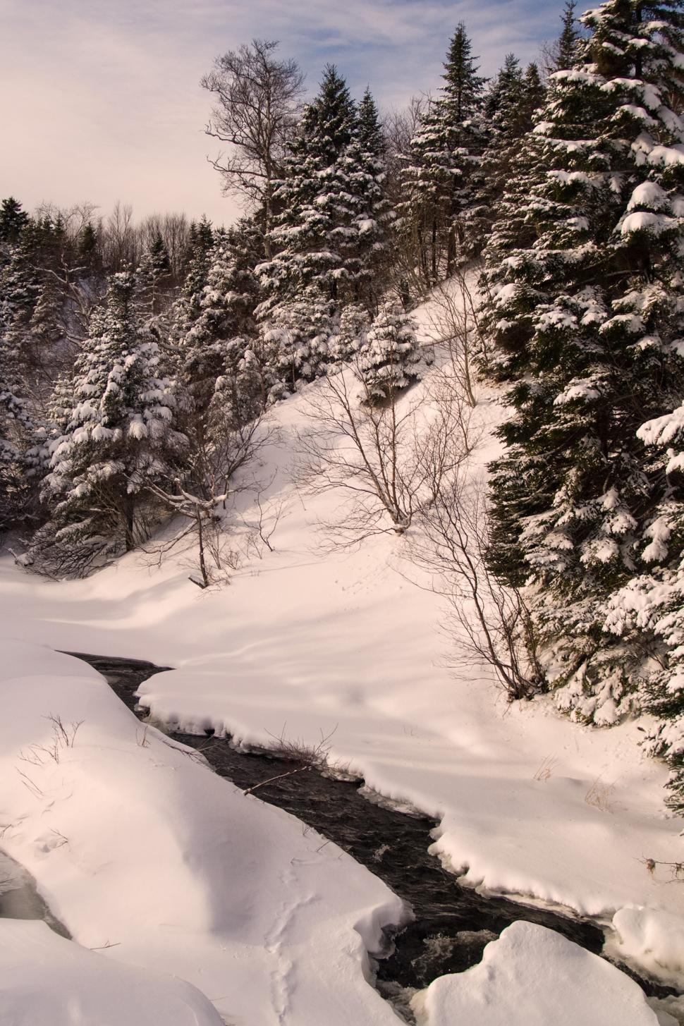 Free Stock Photo of Winter | Download Free Images and Free Illustrations