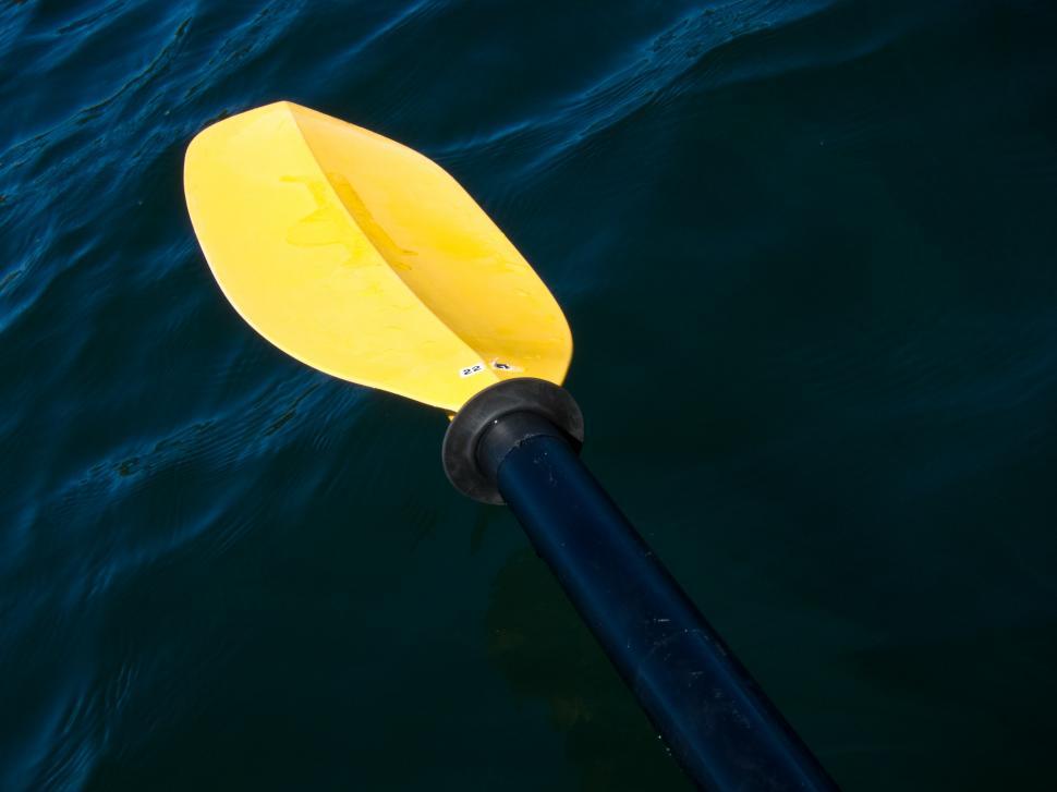 Free Stock Photo of Paddle | Download Free Images and Free Illustrations