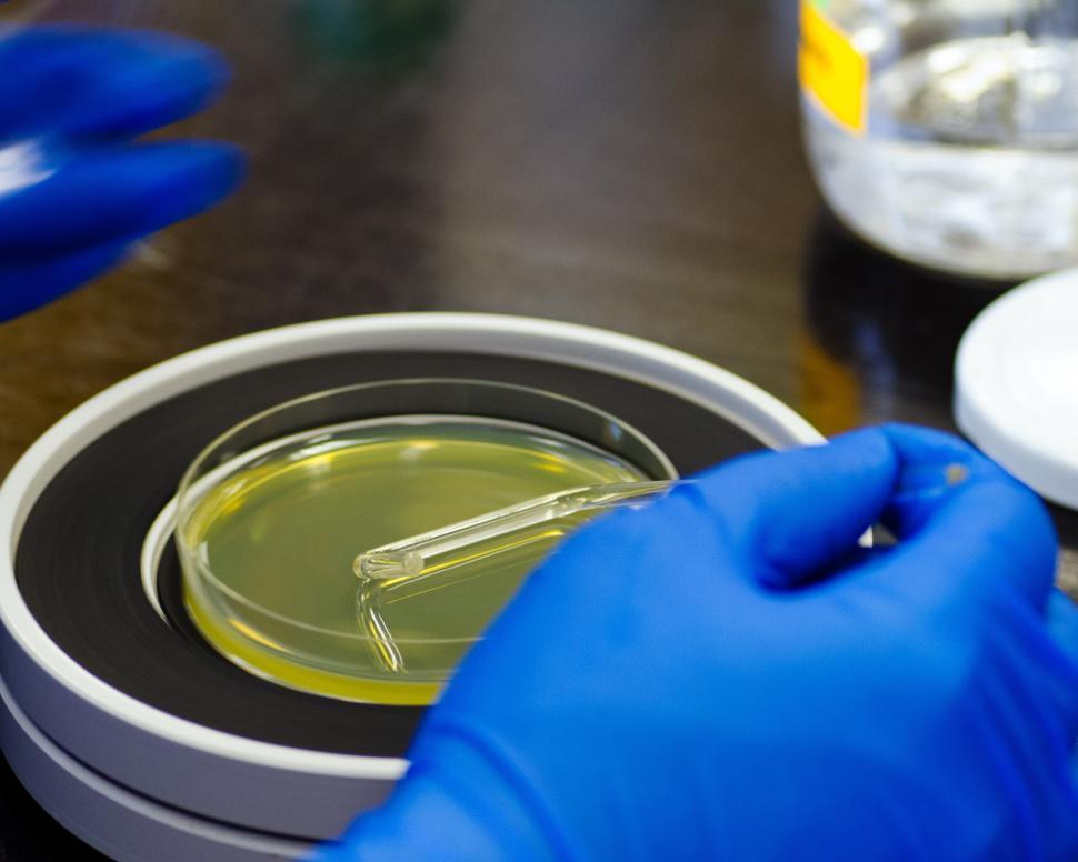 Free Stock Photo of Microbiology | Download Free Images and Free ...