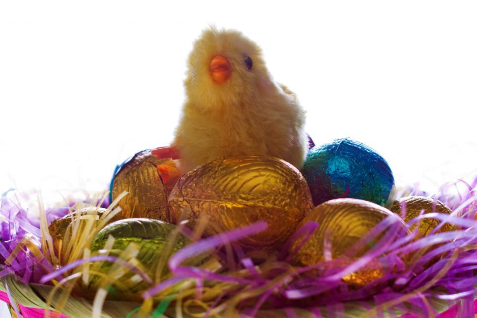 Free Stock Photo of Easter | Download Free Images and Free Illustrations