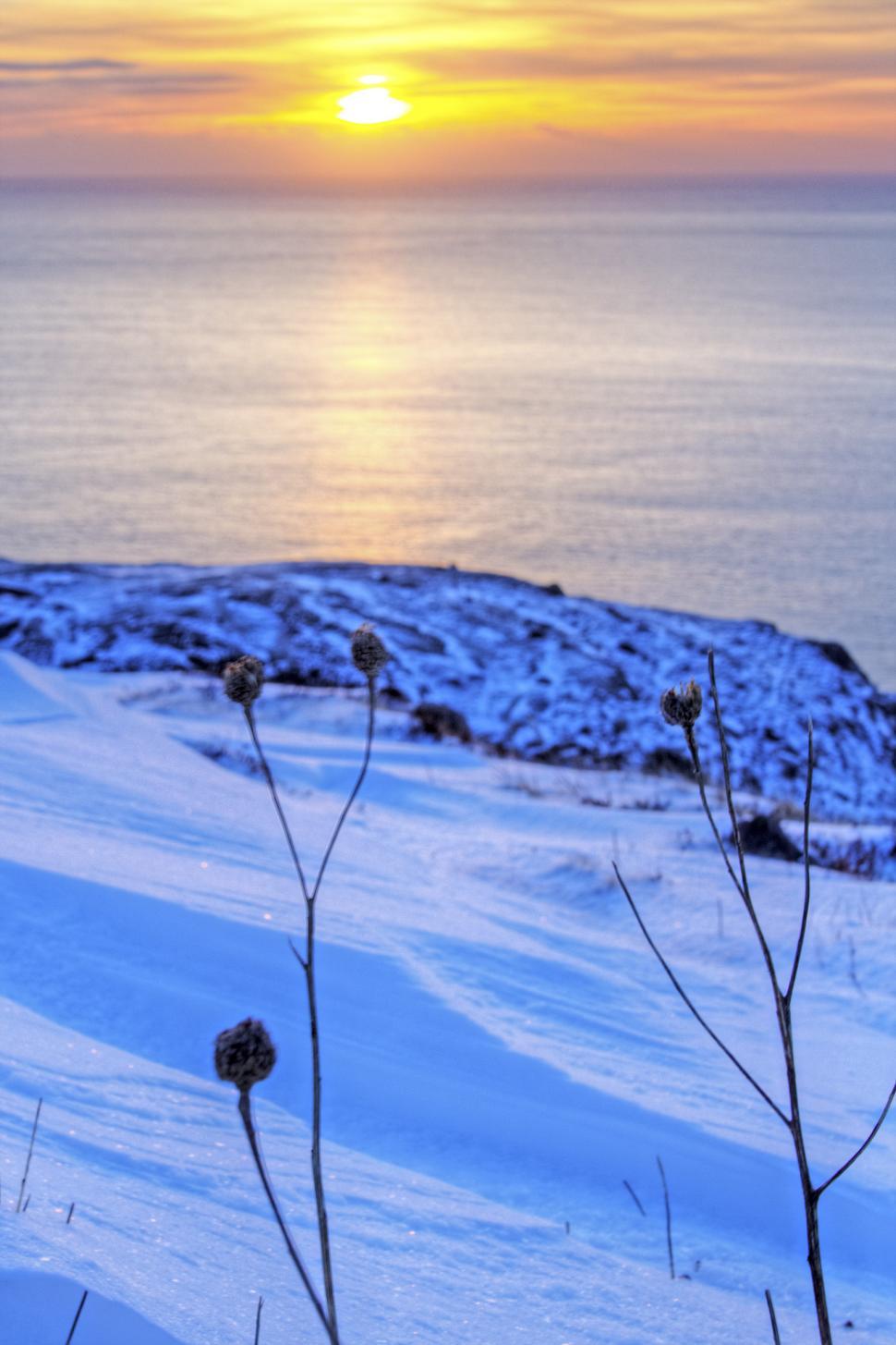 Free Stock Photo of Winter | Download Free Images and Free Illustrations