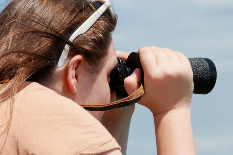 Free Stock Photo of What are you looking at? | Download Free Images and ...