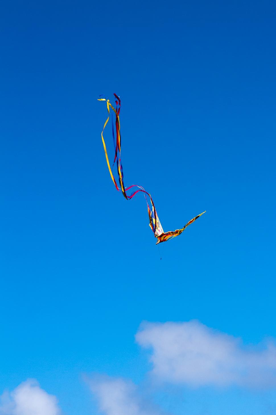 Free Stock Photo of Kite | Download Free Images and Free Illustrations