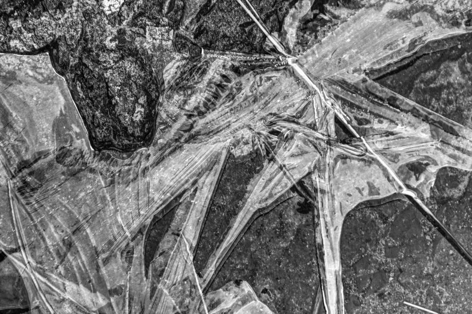 Free Stock Photo of Frosted Ice - Background | Download Free Images and ...