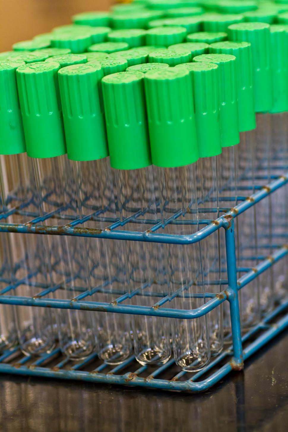 Free Stock Photo of Tubes | Download Free Images and Free Illustrations